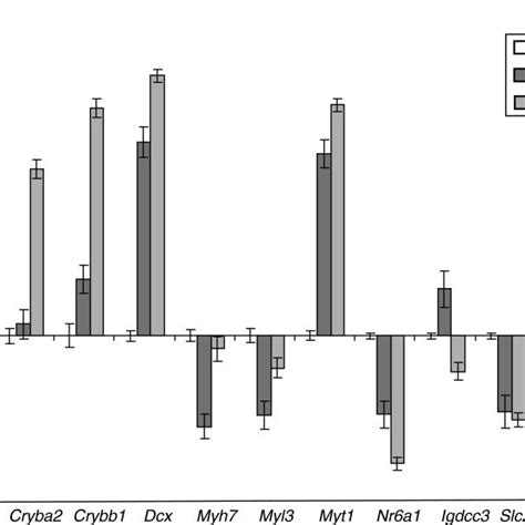 Differential Gene Expression Patterns During Mouse Embryonic Head Download Scientific Diagram