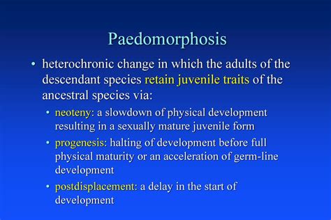 Heterochrony Ppt Download