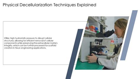 Decellularization Tissue Engineering Scaffold Creation Ppt Example St