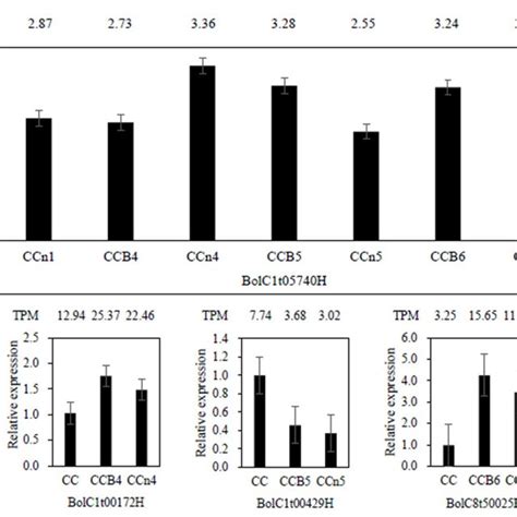 Qrt−pcr Confirmation Of Randomly Selected Degs Expression Values
