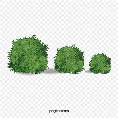 綠草叢 草剪貼畫 植物學 綠色素材圖案，psd和png圖片免費下載