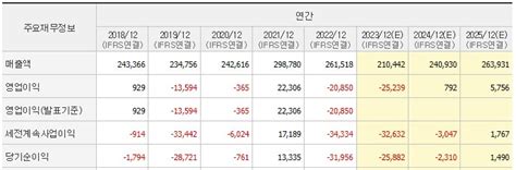 Lg디스플레이 유상증자 일정 목적 전망 총정리 Koocblog
