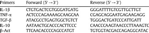Forward And Reverse Primer Sequences Download Scientific Diagram