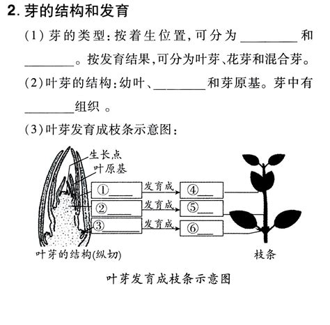 百度教育