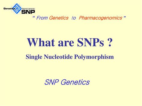 Ppt What Are Snps Single Nucleotide Polymorphism Powerpoint