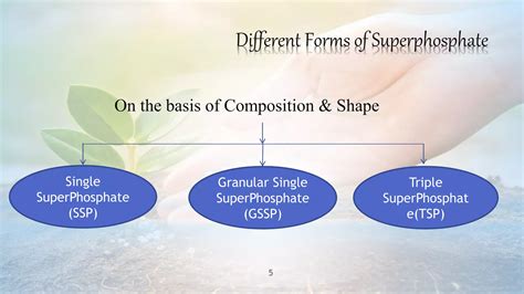 Single Super Phosphate Pptx