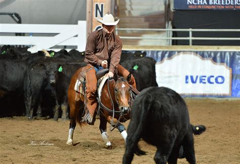 Lincoln Veraart Select Sires