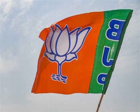 Gujarat Assembly Poll Win Bjp Workers Celebrate In Nashik