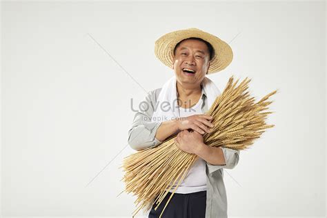 곡물을 수확하는 농부 사진 무료 다운로드 Lovepik