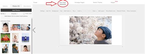 How Do I Evenly Space Objects Or Images In My Design Zno Support