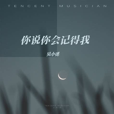 你说你会记得我 Youtube Music