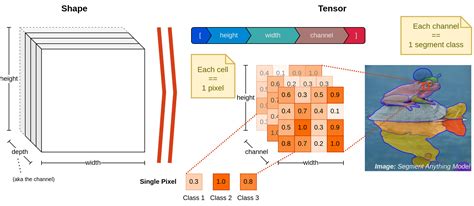 Above A Diagram Explaining How The Output Of An Image Segmentation