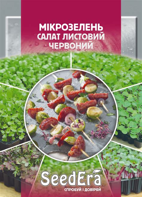 Мікрозелень Салат листовий червоний - Насіння - Сімейний Сад