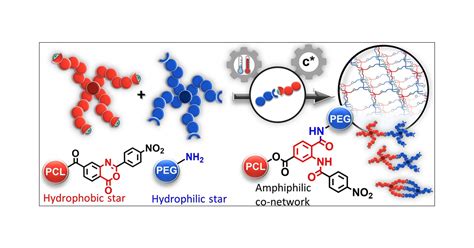 Amphiphilic Model Networks Based On Peg And Pcl Tetra Arm Star Polymers With Complementary