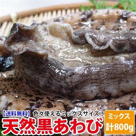 【年末年始お届け受付終了】長崎産天然黒アワビ黒あわび 大・中ミックス 計800g 送料無料 ギフト よか鮑 黒アワビ Smixbma