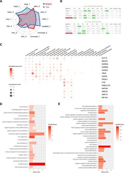 A Performance Comparison Of The Reprogramming Cocktails Predicted By
