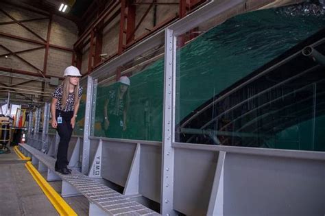 Us Doe Launches 145m Marine Energy Research Call