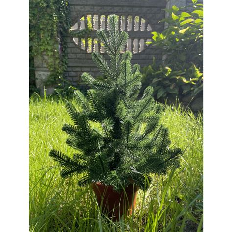 Купити Ялинка Traditional лита 50 см в горщику зелена нова з доставкою Hvoya в Україні