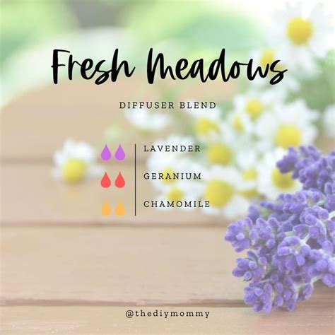 Essential Oils For Spring Best Diffuser Blend Recipes Essential Oils Diffuser Blends Spring