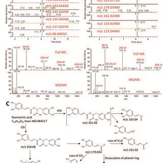 Total Ion Chromatogram TIC And Extracted Ion Chromatograms EIC Of