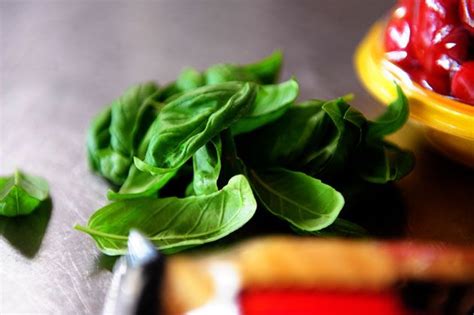 Spicy Pasta Salad With Smoked Gouda Tomatoes And Basil