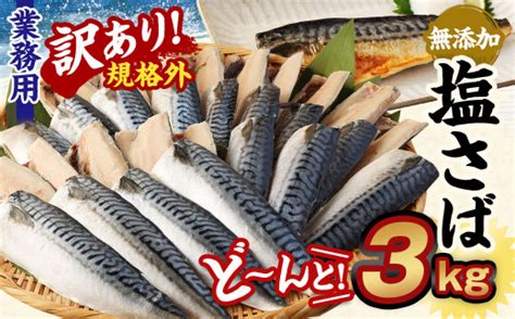【訳あり規格外】 業務用 無添加 塩さば どーんと 3kg 鯖 さば 塩サバ 干物 魚 茨城県神栖市 セゾンのふるさと納税