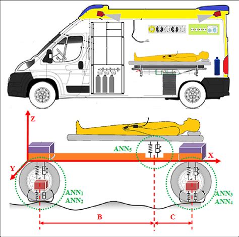 The Orientation Of Measurement Axes For Simulation And Experimental