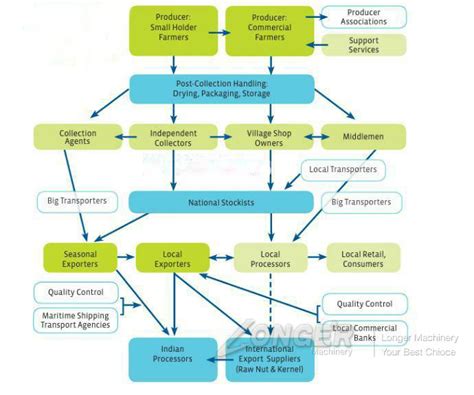 How To Understand The Cashew Value Chain