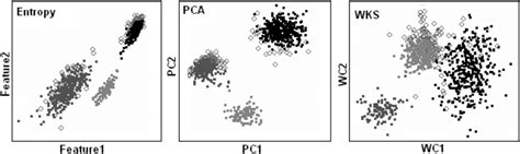 Sorting Result For Dataset 2 Which Consisted Of Three Different Spike