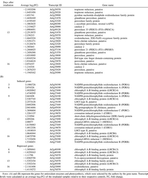 Transcriptomic Profile Of Arabidopsis Rosette Leaves During The