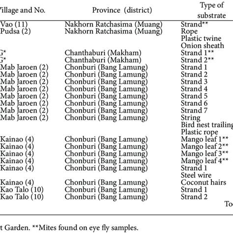 Aggregation Size And Sex Ratio Of Eye Flies Resting On Substrates In
