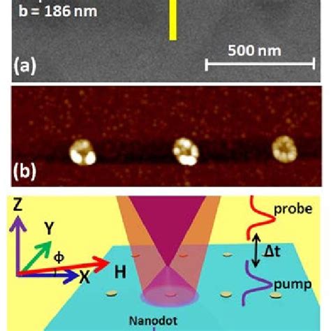 A Scanning Electron Micrograph Of The Co Nanomagnets Deposited On A