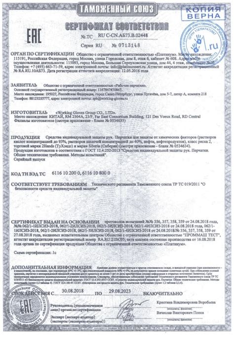 Перчатки для пескоструйной камеры 800 мм Vector арт. 15605V - купить по ...