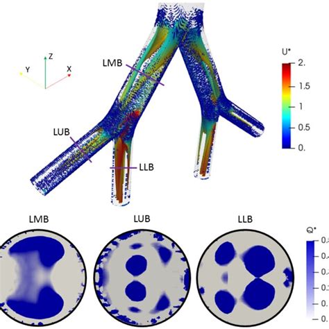 Geometric Parameters Of Weibel Model Download Scientific Diagram