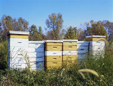 Igoe Process Model What Is A Scope Diagram Edrawmax Online 6 Mapping Existing Process