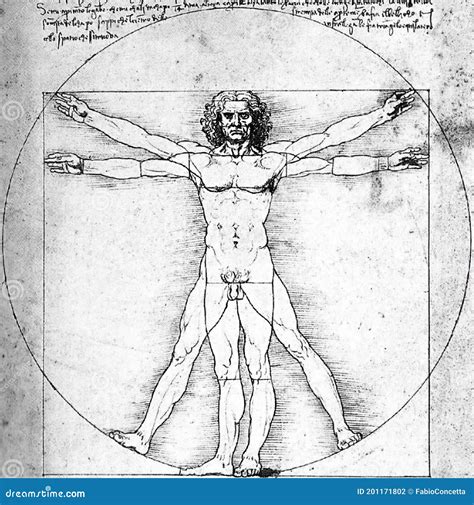 Disegno Antico Di Proporzioni Umane Secondo Il Vitruvio Da Leonardo Da