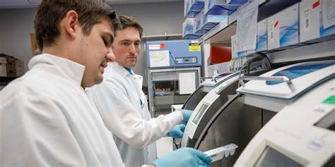 Ms In Immunology Pathology And Infectious Disease Office Of Graduate