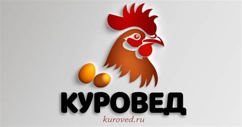 Мясо яичные породы кур продуктивность содержание разведение и уход