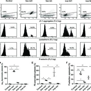 The Bacterial Cells And Culture Supernatant Of S Aureus Induced