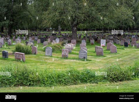 View Of The Skogskyrkogarden Cemetery From 1915 Declared A World