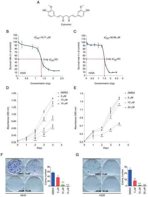 Curcumin Inhibits Cell Proliferation And Migration In NSCLC Through A