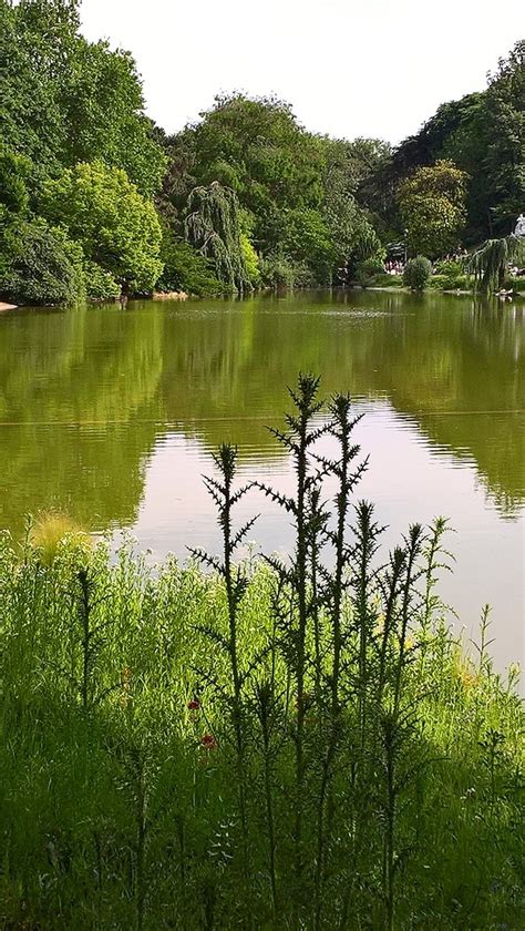 Lake Tree Water Free Photo On Pixabay Pixabay