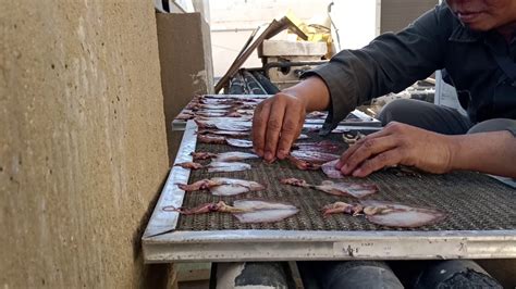 Daing N Pusit Youtube