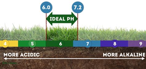 Applying Lime To Your Lawn Rohrs Nursery