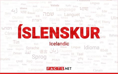 17 Mind Blowing Facts About Hebrew Language