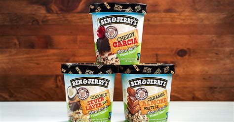 Ben Jerrys Dairy Free Ice Cream Review Vegan Desserts