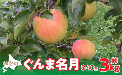 ＜2025年11月中旬よりお届け＞ 北海道壮瞥町 りんご 「ぐんま名月」8～10玉約3kg 【 ふるさと納税 人気 おすすめ ランキング