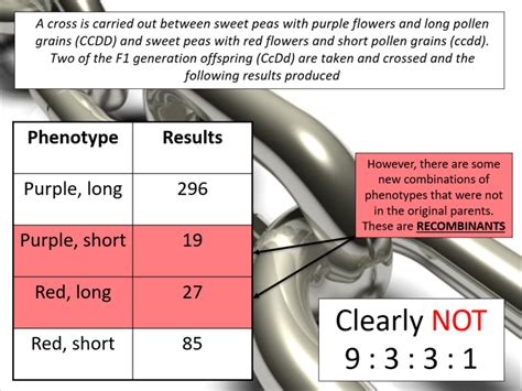 Autosomal Linkage Aqa A Level Biology Teaching Resources