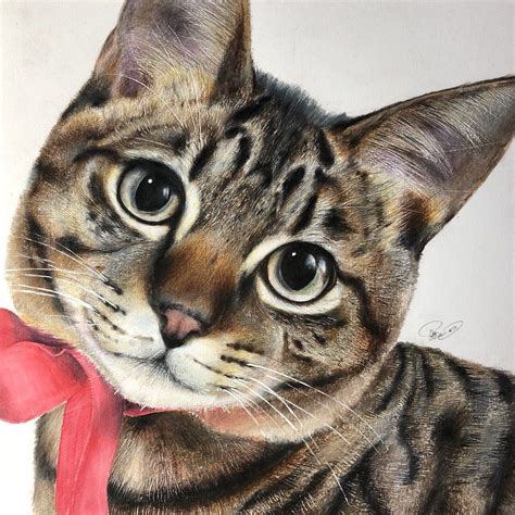 音海はる🐾 On X キャットアート 色鉛筆 イラスト 子猫